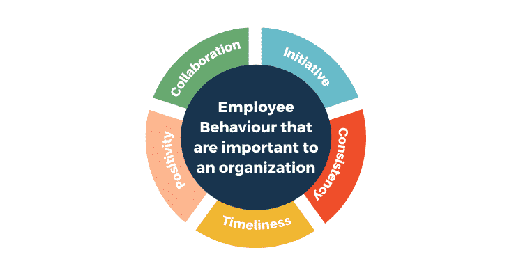 Should Organizations Reward Employee Performance or Behaviour?